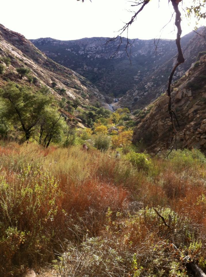 Climate Adaptation Wildfire Howard Blackson